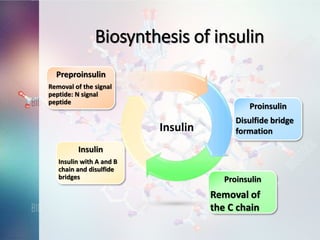 Insulin | PPSX