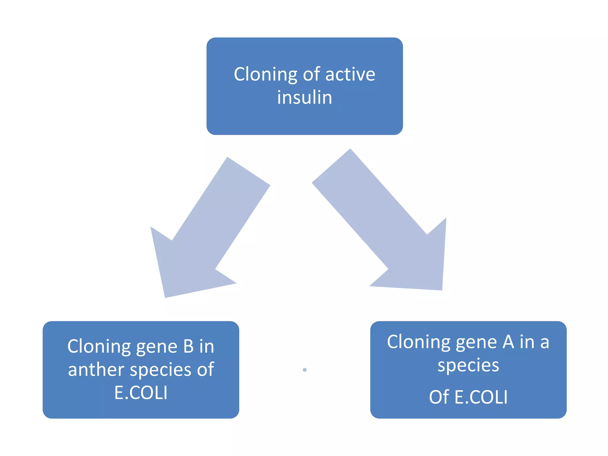 cloning of the insulin genes | PPTX