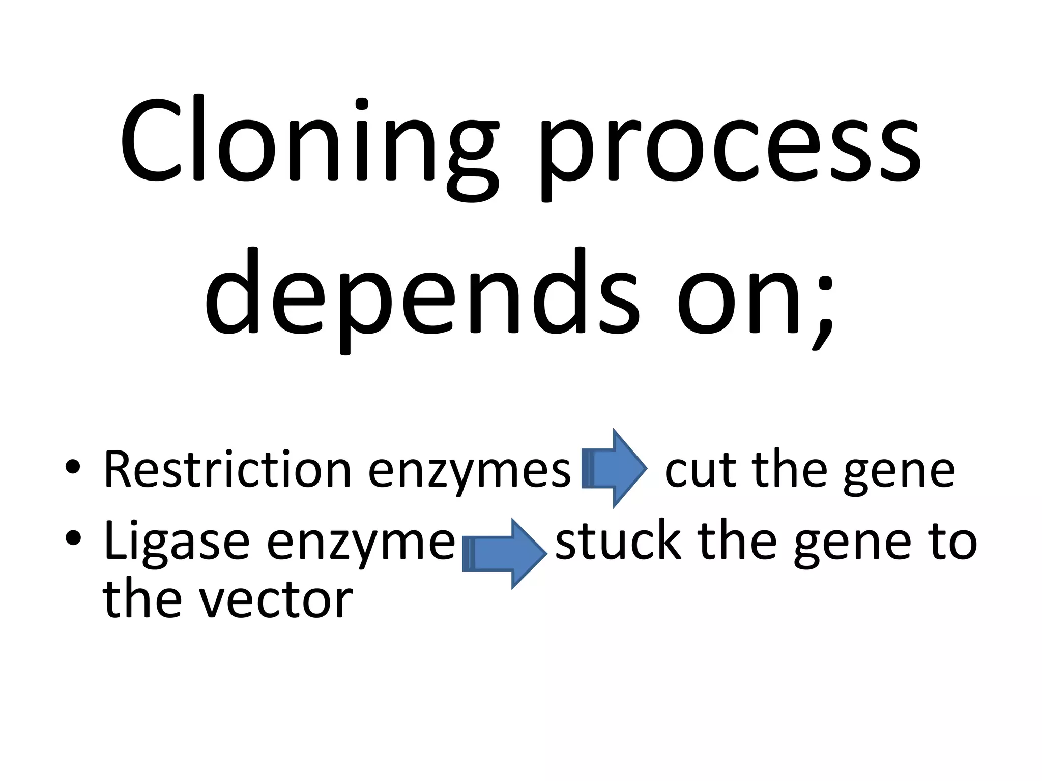 cloning of the insulin genes | PPTX