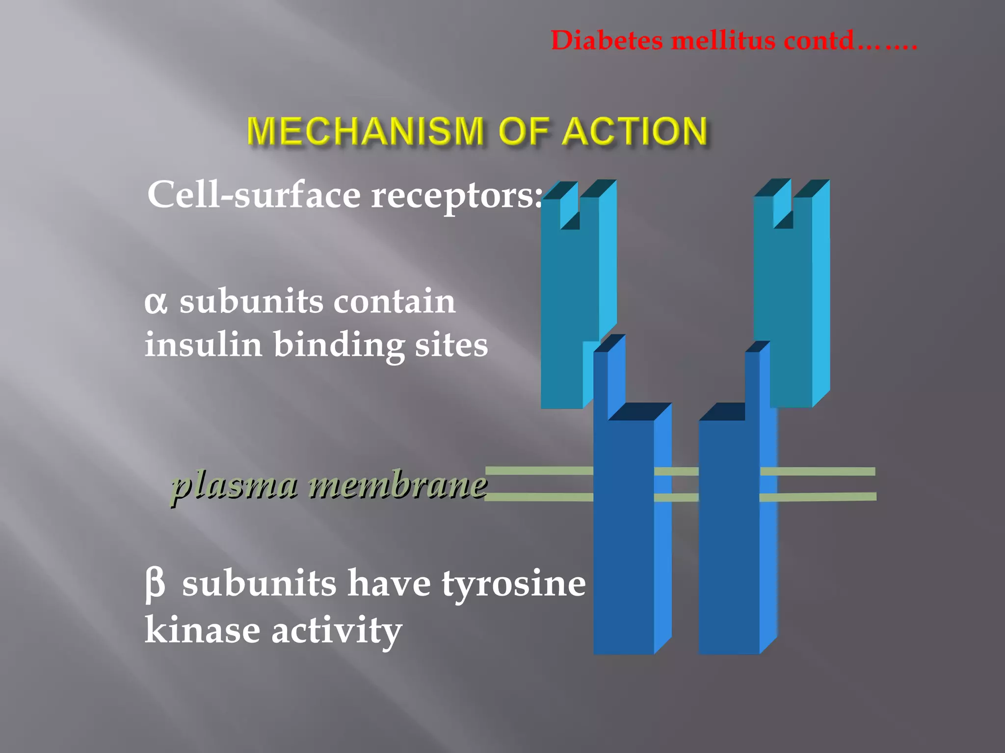 Insulin | PPT