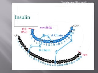 Insulin | PPT