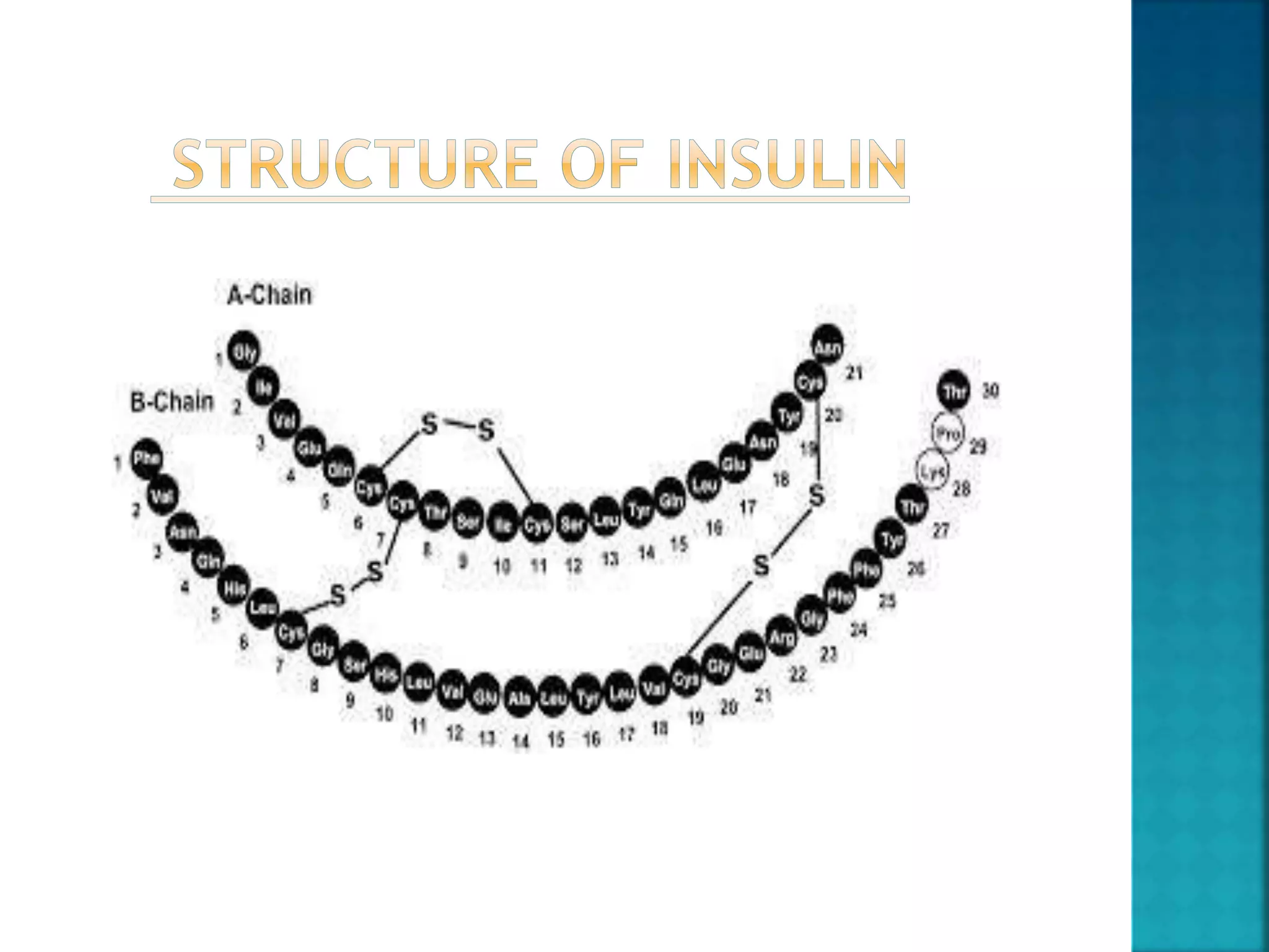 Insulin | PPTX