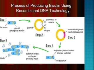 Insulin | PPTX