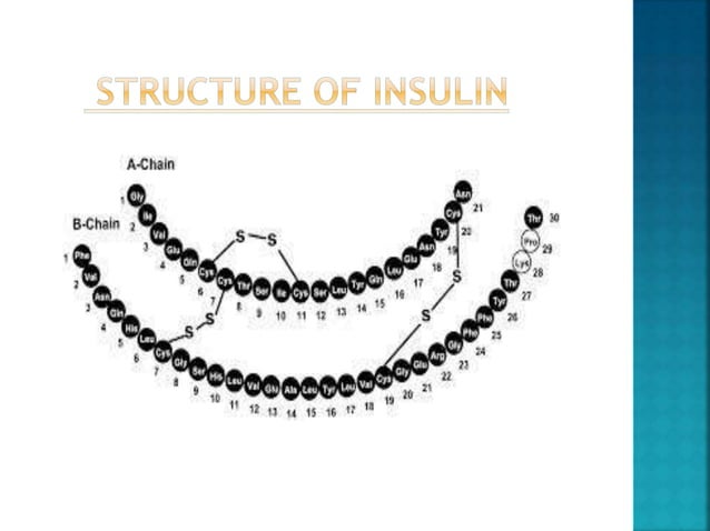 Insulin | PPT