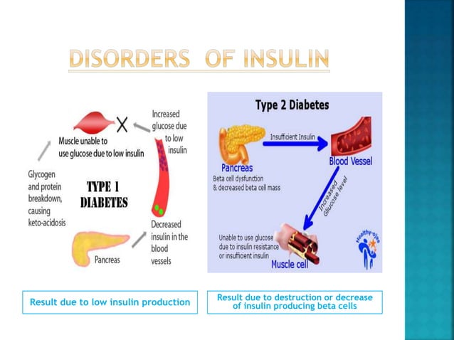 Insulin | PPT