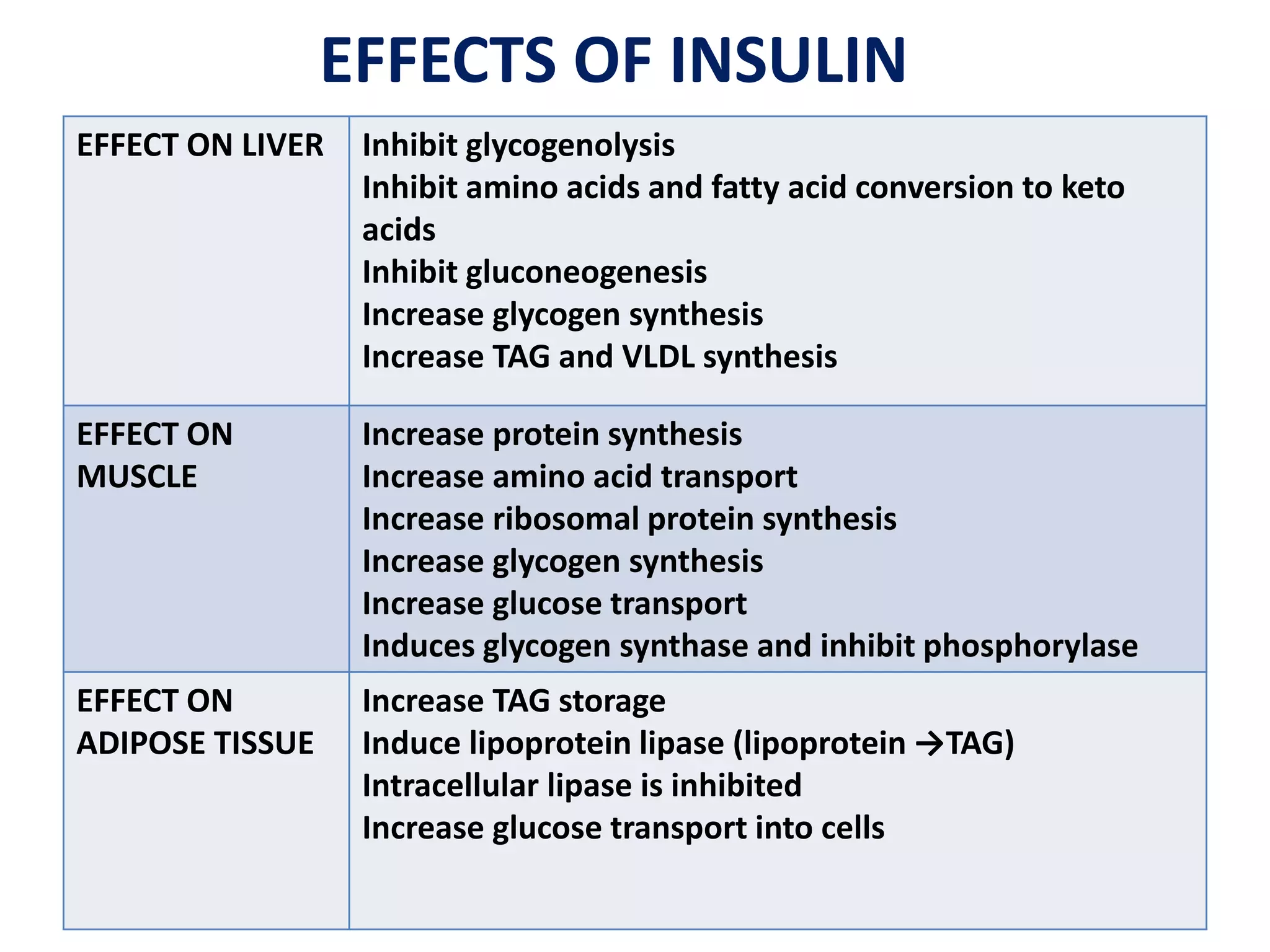 Insulin | PPT