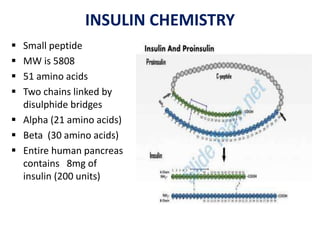 Insulin | PPT