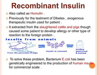 Insulin | PPT