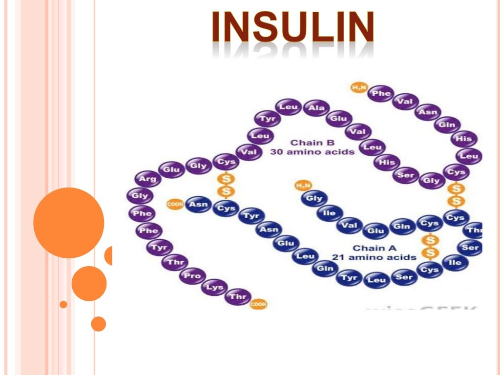 Insulin