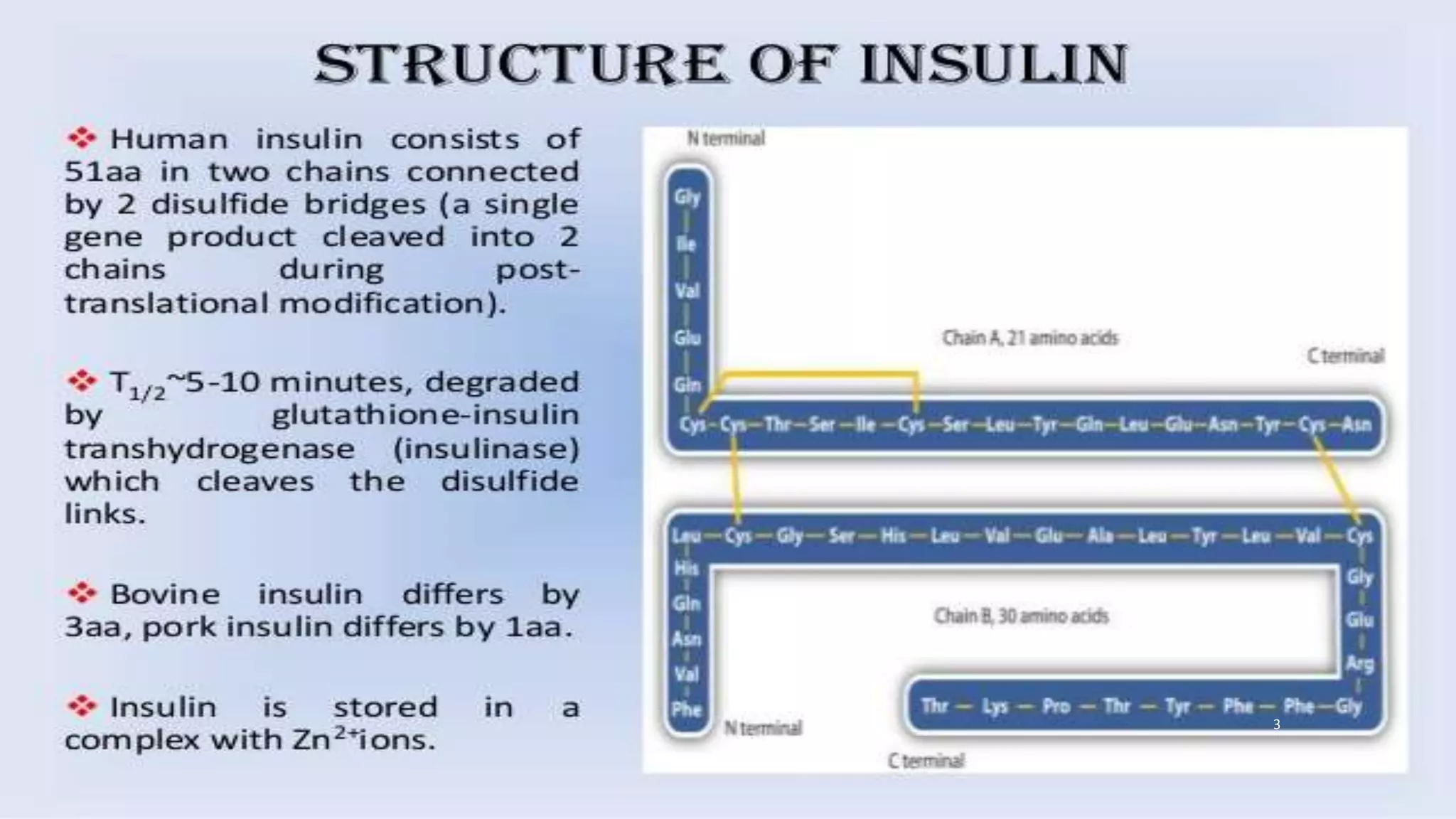 Insulin pharmacology | PPTX