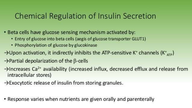 Insulin pharmacology | PPTX | Endocrine and Metabolic Diseases ...