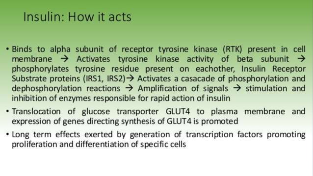 Insulin pharmacology | PPTX | Endocrine and Metabolic Diseases ...