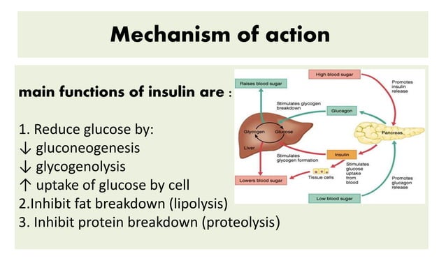 Insulin pediatric | PPTX
