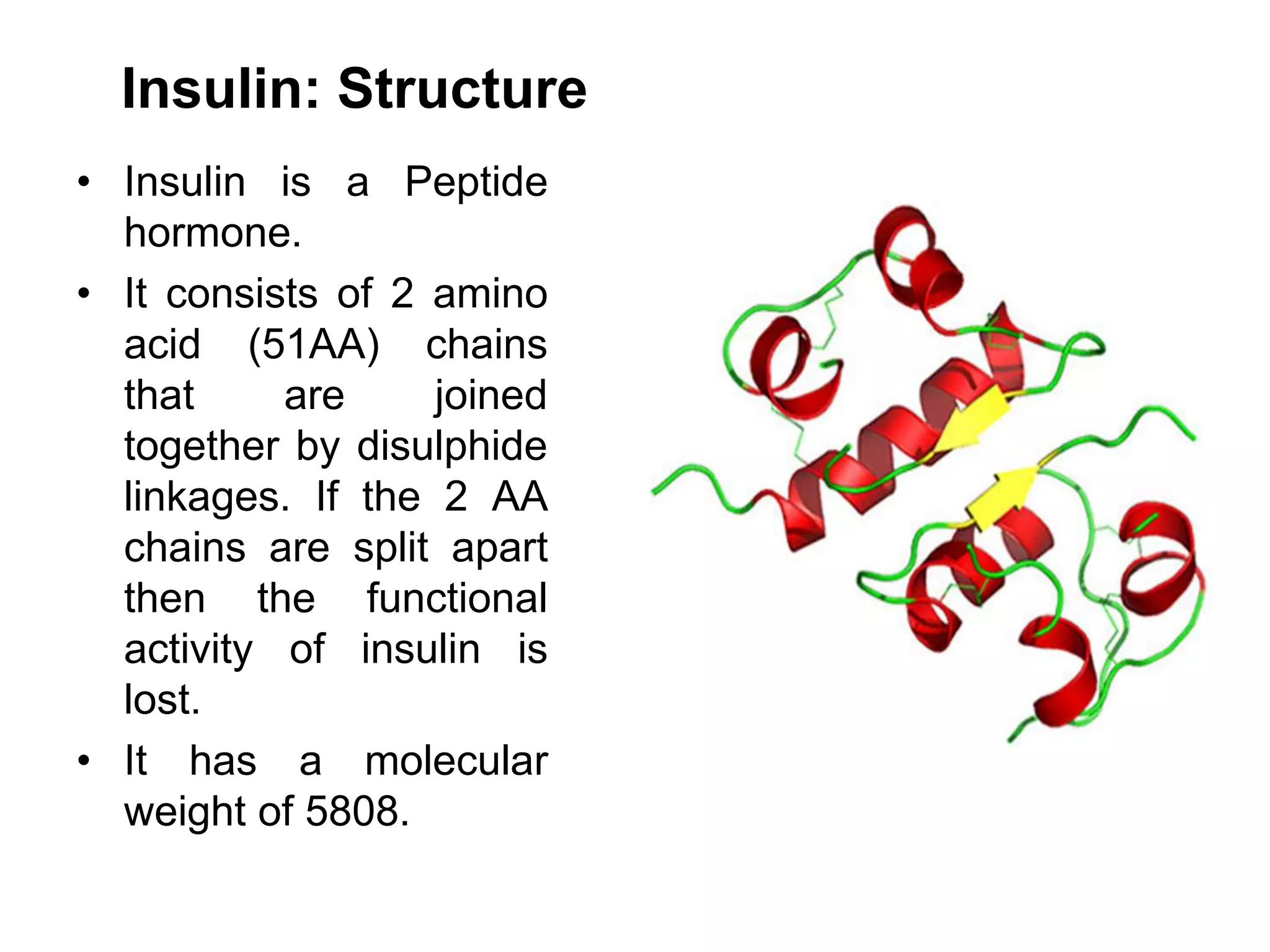 Insulin physiology and biochemical effects by Dr Shahjada Selim | PPT
