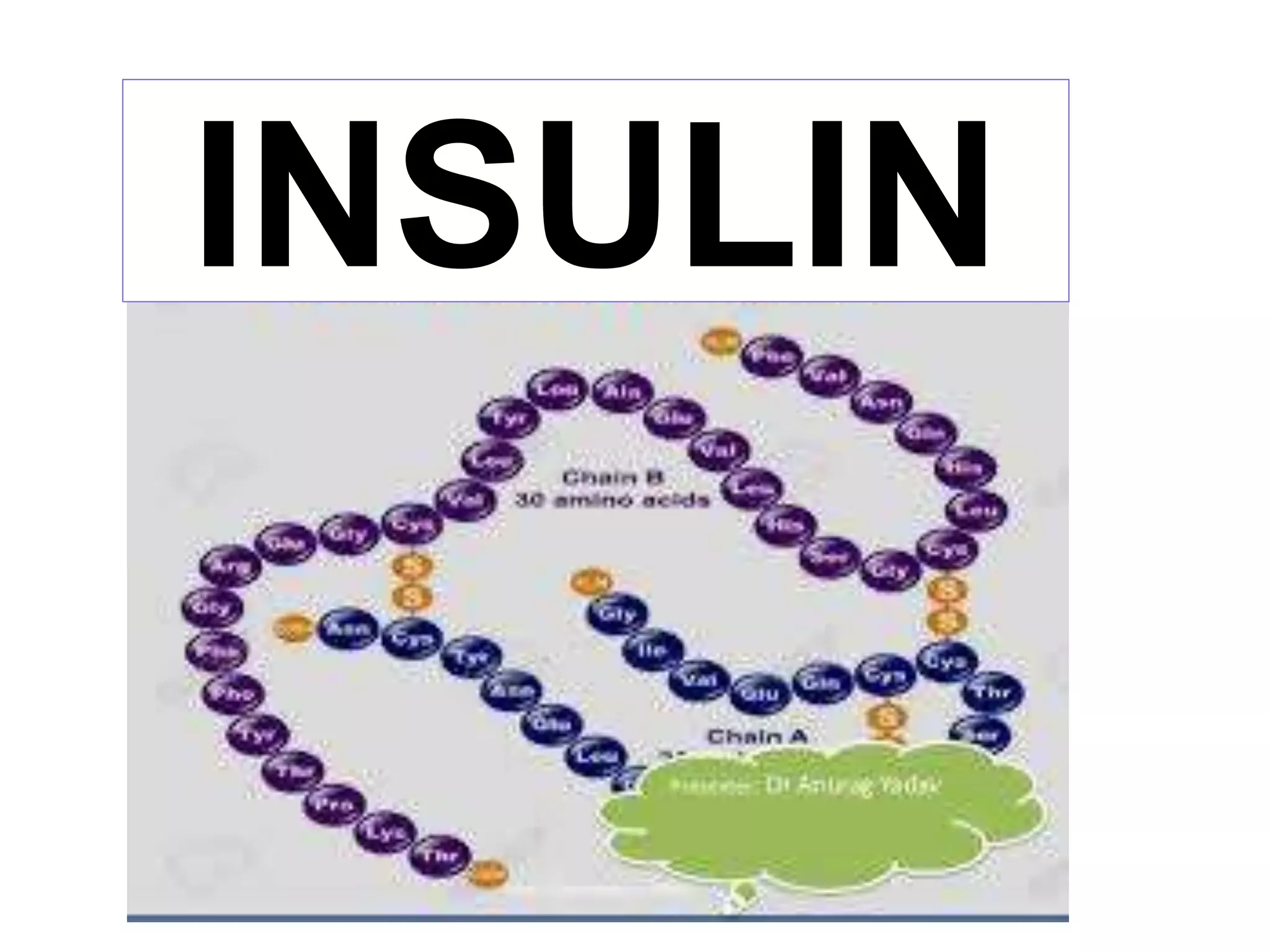 Insulin physiology and biochemical effects by Dr Shahjada Selim | PPT