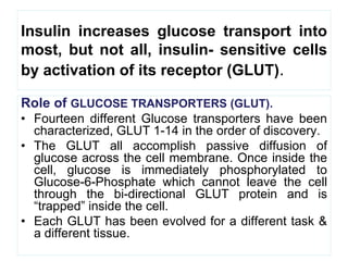 Insulin physiology and biochemical effects by Dr Shahjada Selim | PPT