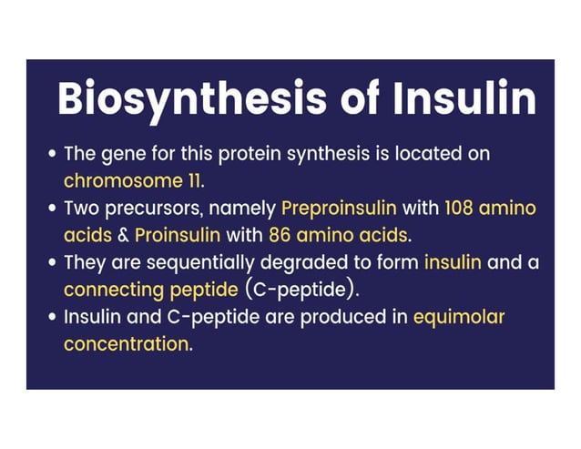 Insulin | Discovery of Insulin | Structure of insulin | Biosynthesis of Insulin | Regulation of ...