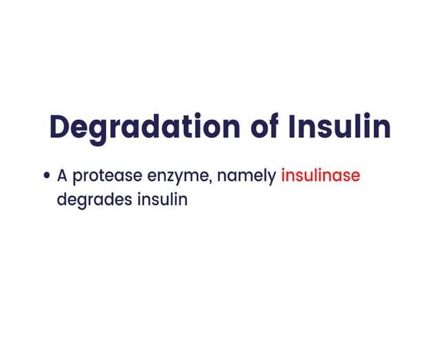 Insulin | Discovery of Insulin | Structure of insulin | Biosynthesis of Insulin | Regulation of ...