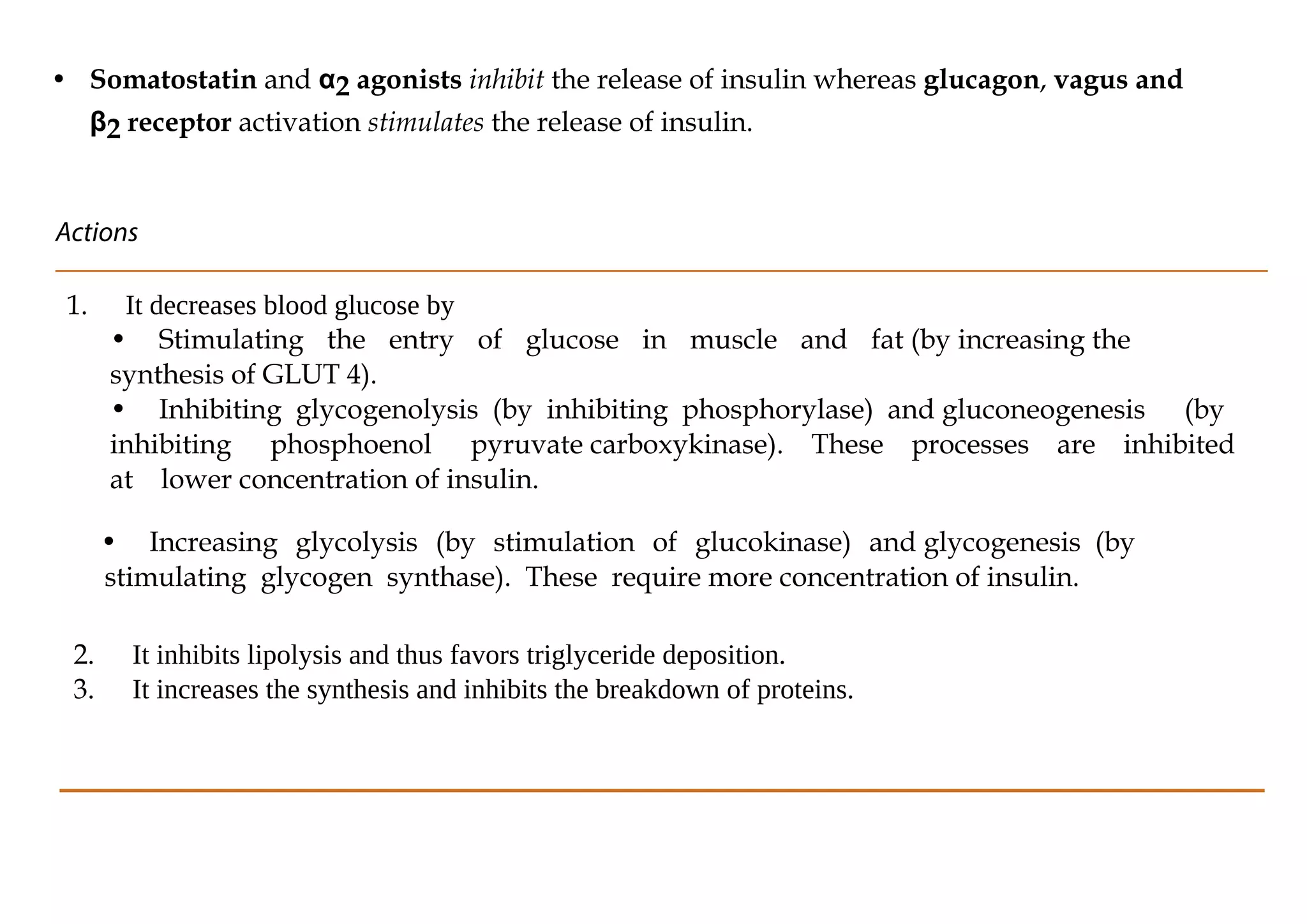 Insulin Lecture Notes | PDF