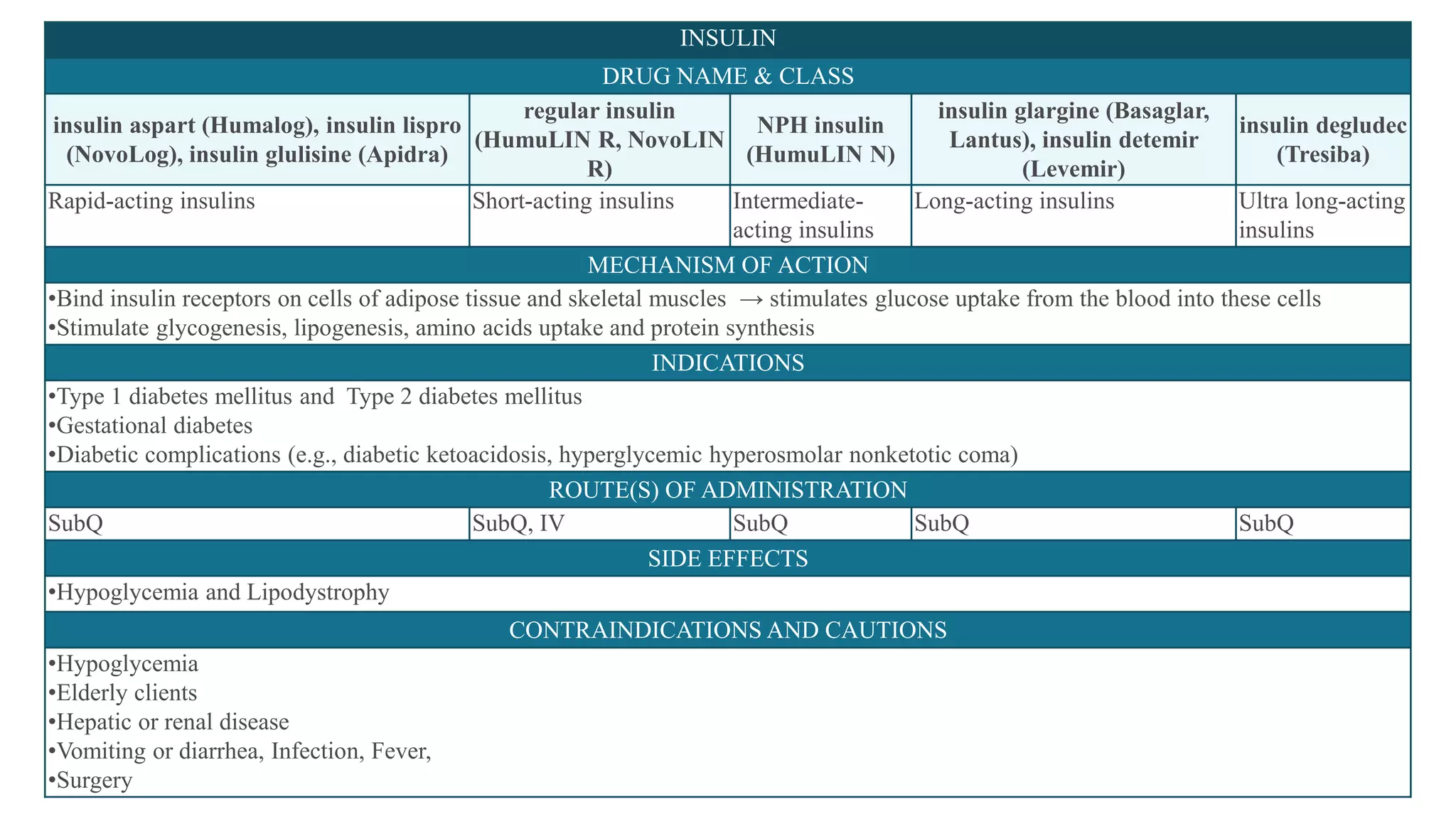Insulin | PDF