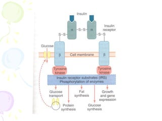 INSULIN | PPTX