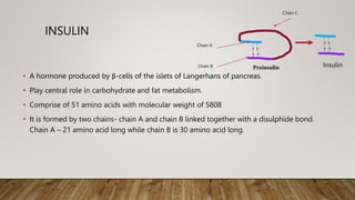 Insulin.pptx