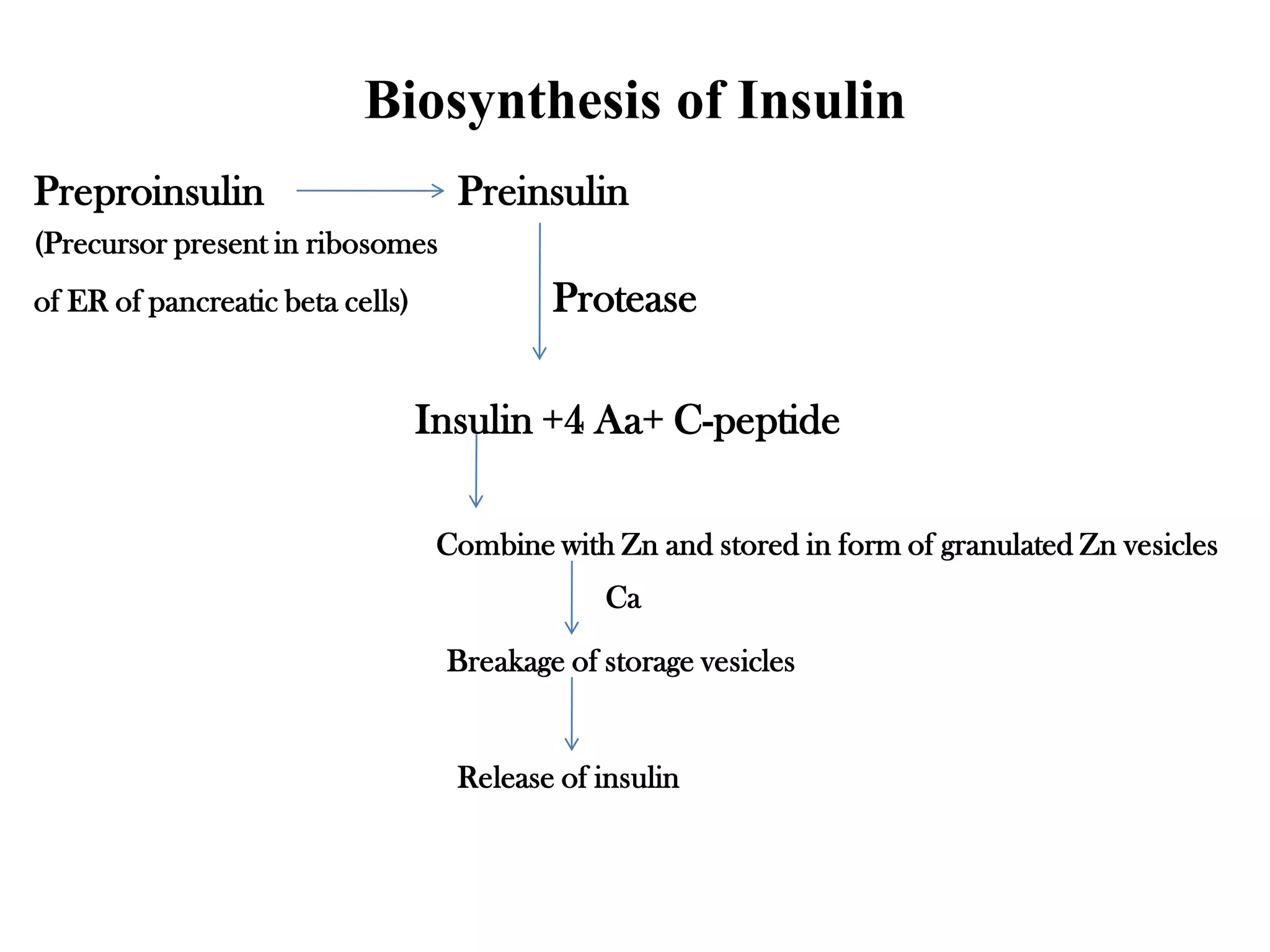 Insulin.pdf