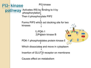 Role of Insulin in Health and Disease: a polypeptide hormone. | PPT