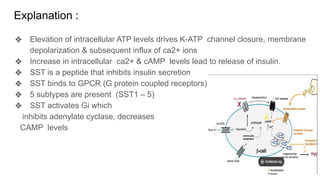 INSULIN HORMONE & FUNCTIONS IN DETAIL pptx.pdf
