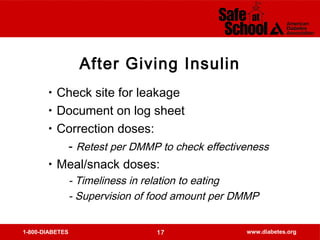Insulin basics | PPT