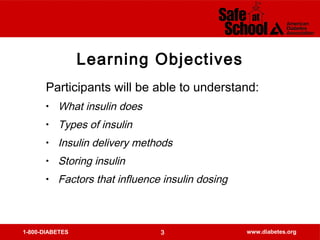 Insulin basics | PPT