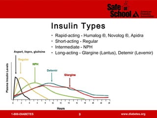 Insulin basics | PPT