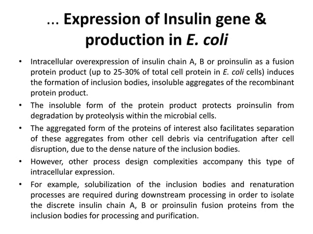 Insulin-Production.pdf | Endocrine and Metabolic Diseases | Diseases ...