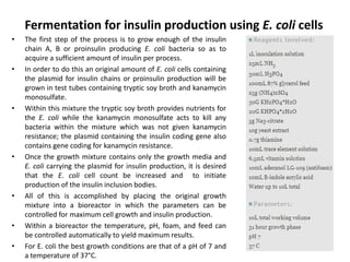 Insulin-Production.pdf