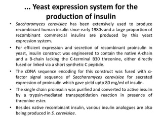 Insulin-Production.pdf