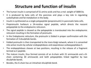 Insulin-Production.pdf