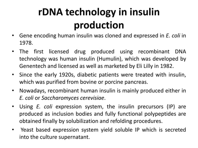 Insulin-Production.pdf | Endocrine and Metabolic Diseases | Diseases ...