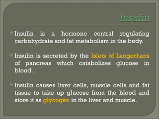 Insulin-Production class 12th biology ppt | PPT