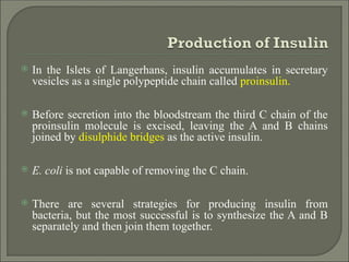 Insulin-Production class 12th biology ppt | PPT