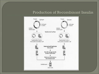 Insulin-Production class 12th biology ppt | PPT