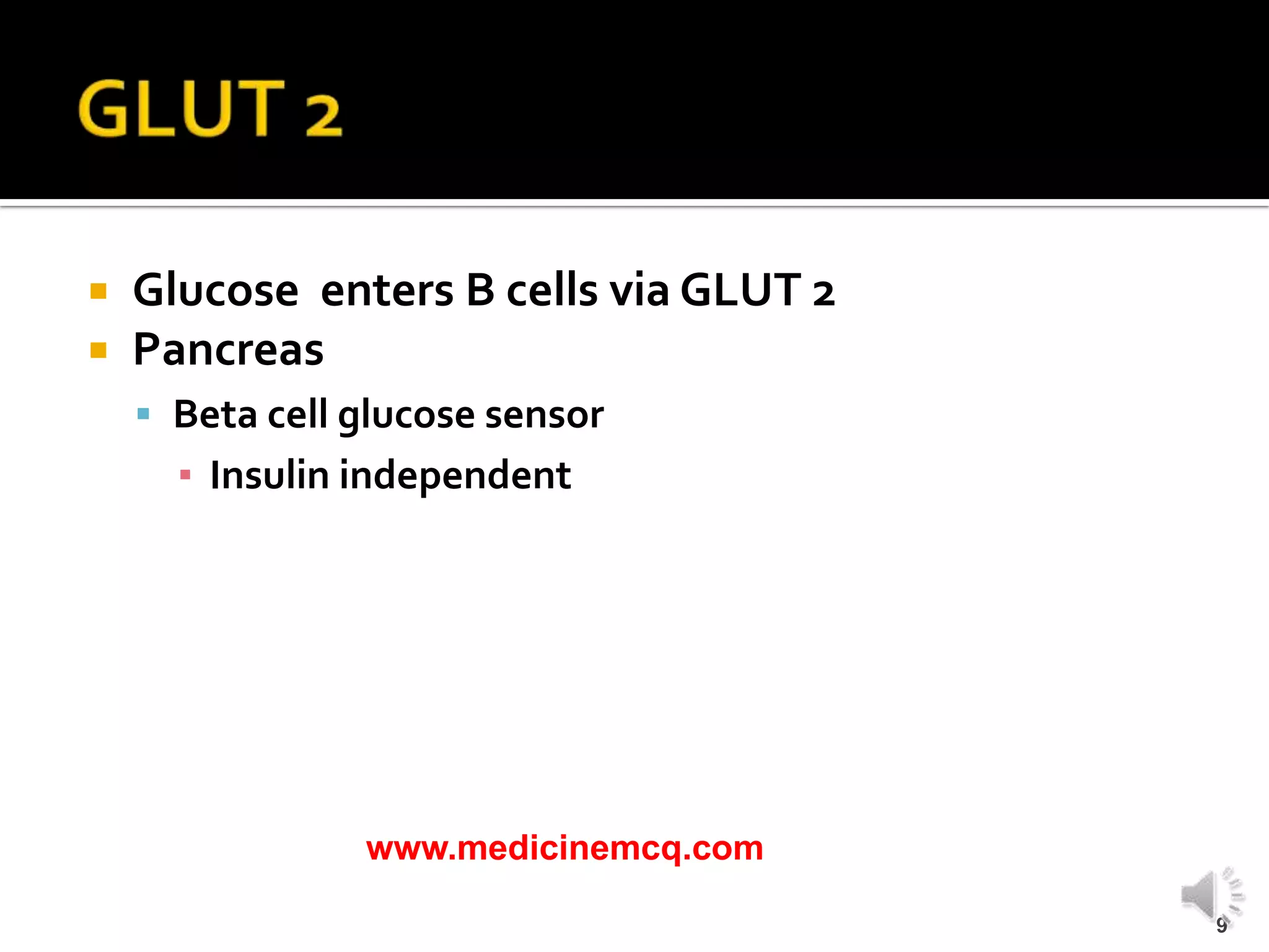 Insulin Regulation of Secretion | PPTX