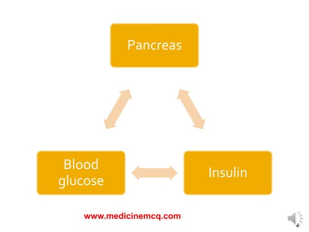Insulin Regulation of Secretion | PPTX | Endocrine and Metabolic ...
