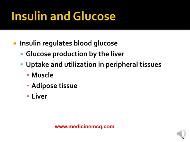Insulin Regulation of Secretion | PPTX | Endocrine and Metabolic ...