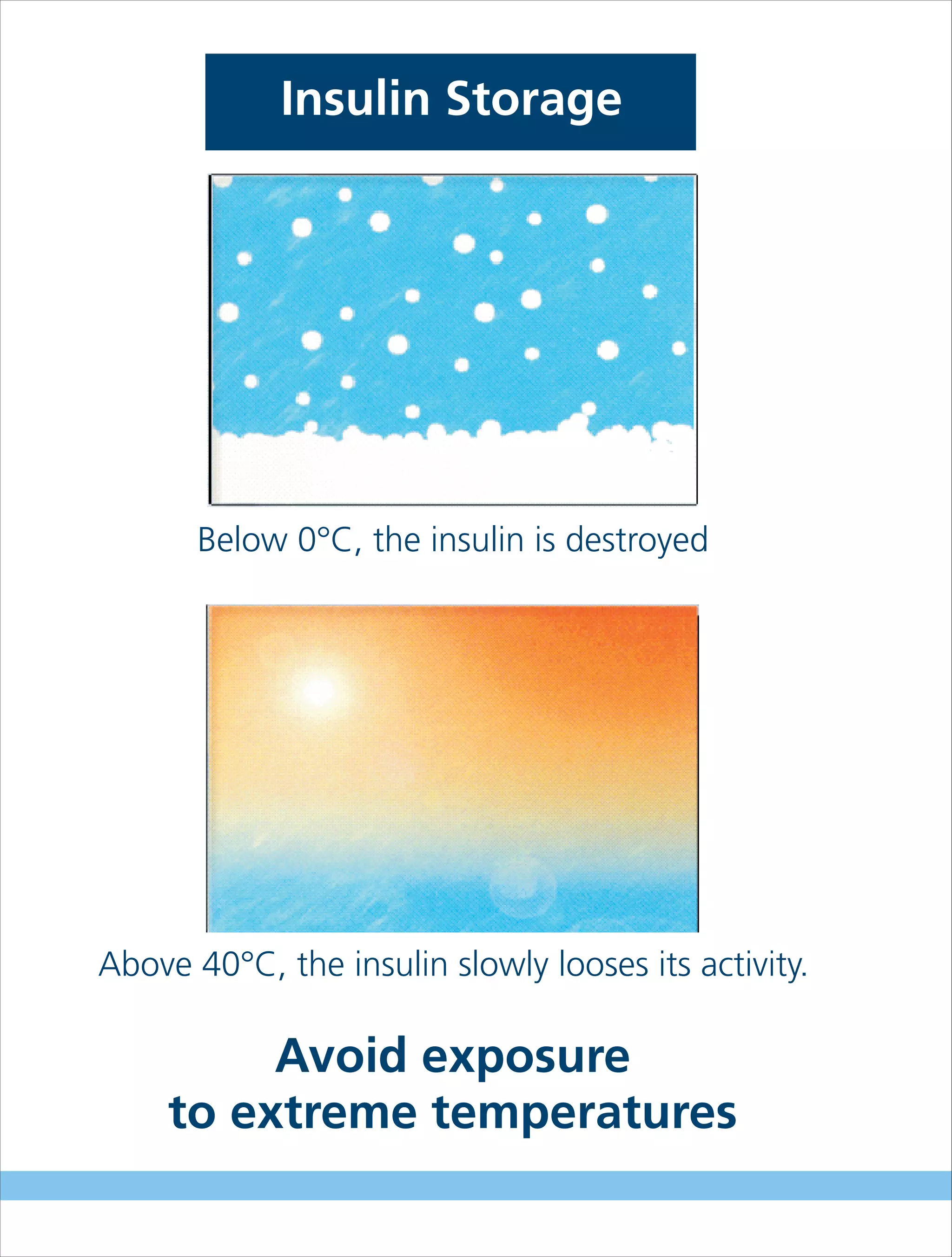 Insulin Storage Technique | PDF