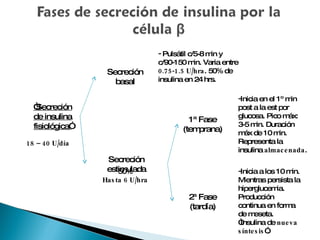Insulina | PPT