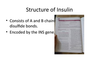 Insulin_Action_and_Regulation_Presentation.pptx