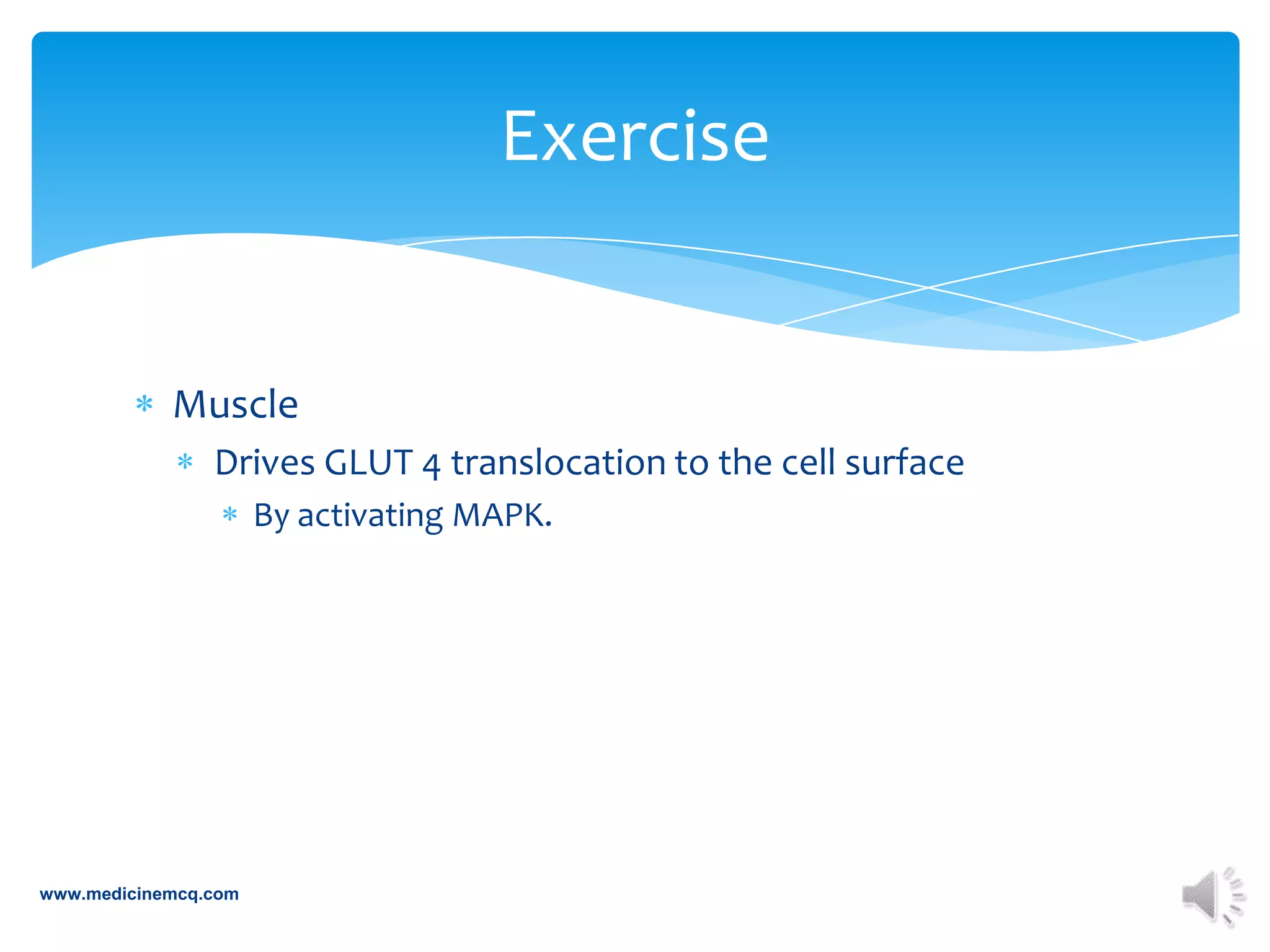 Insulin Actions and Receptors | PPTX