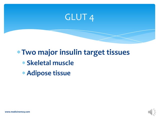Insulin Actions and Receptors | PPTX | Endocrine and Metabolic Diseases ...