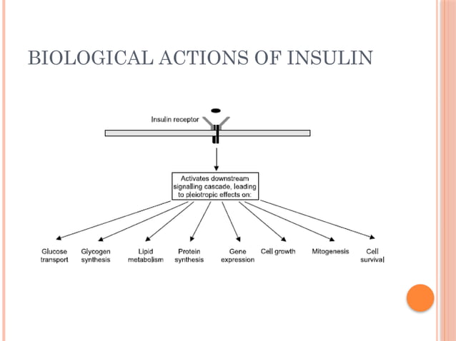 insulin action, SIRM - dr shravan ankathi endo | PPT