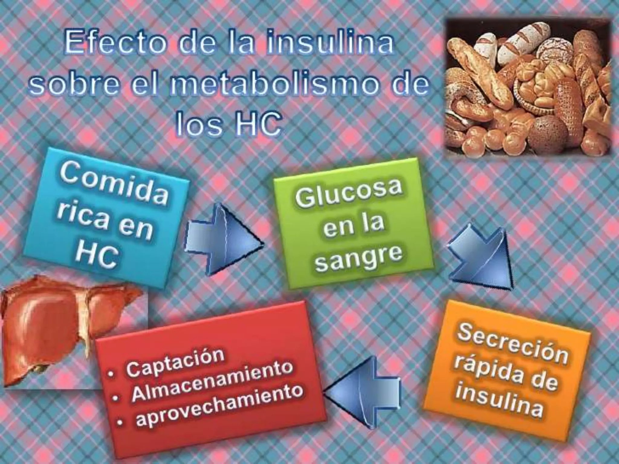 Insulina, glucagon y diabetes mellitus | PPTX